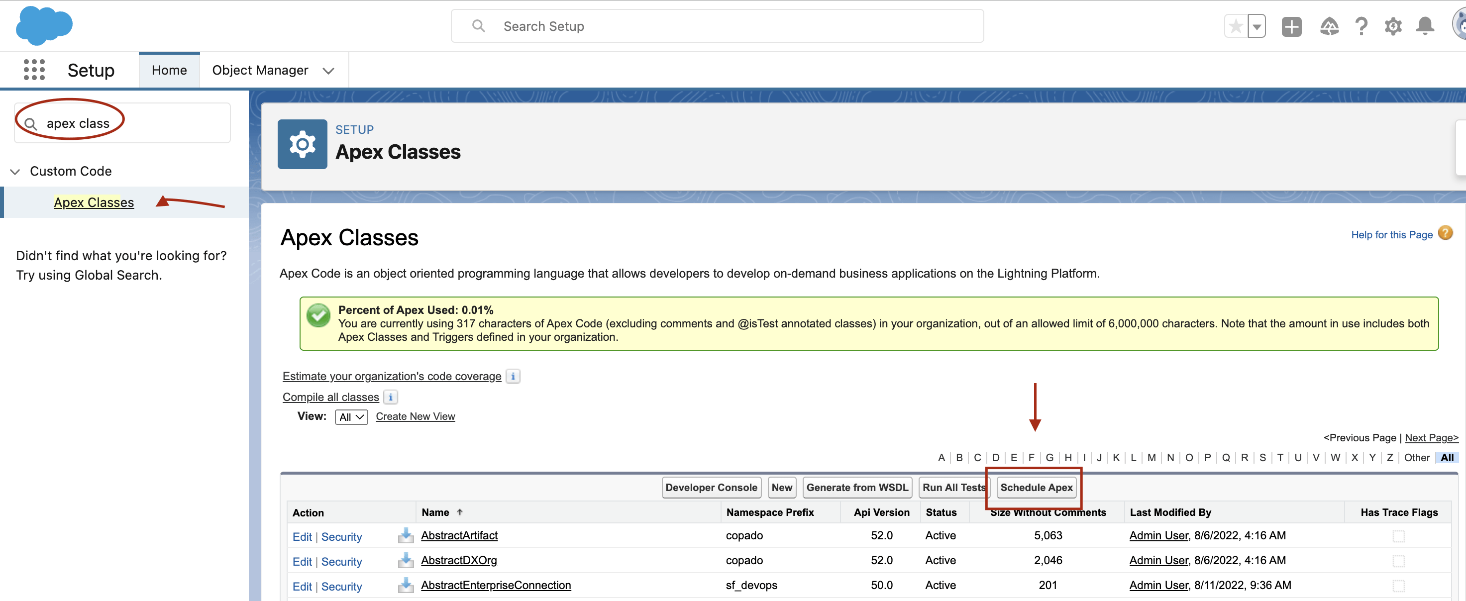 How to Schedule the Apex in Salesforce? » Panther Schools